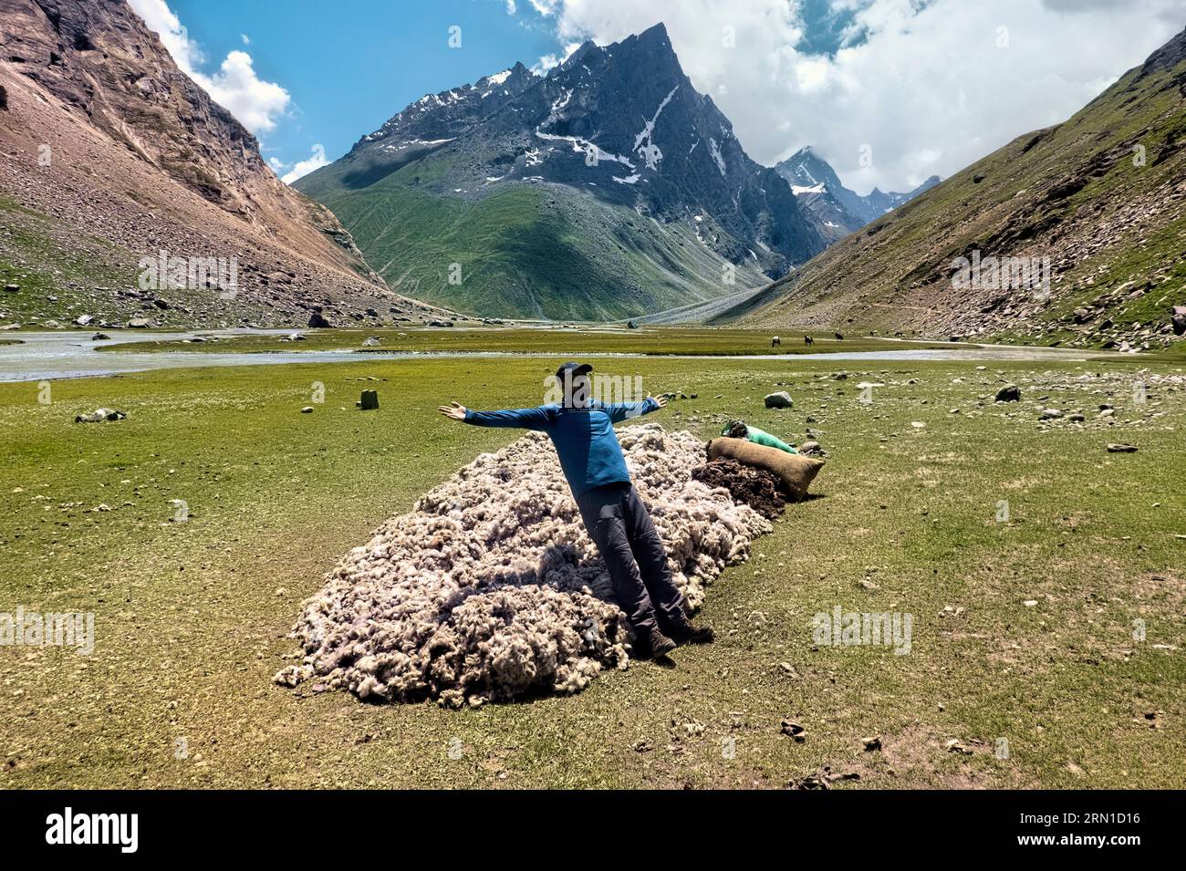 Fresh pile of sheep wool, Warwan Valley, Kashmir, India Stock Photo - Alamy