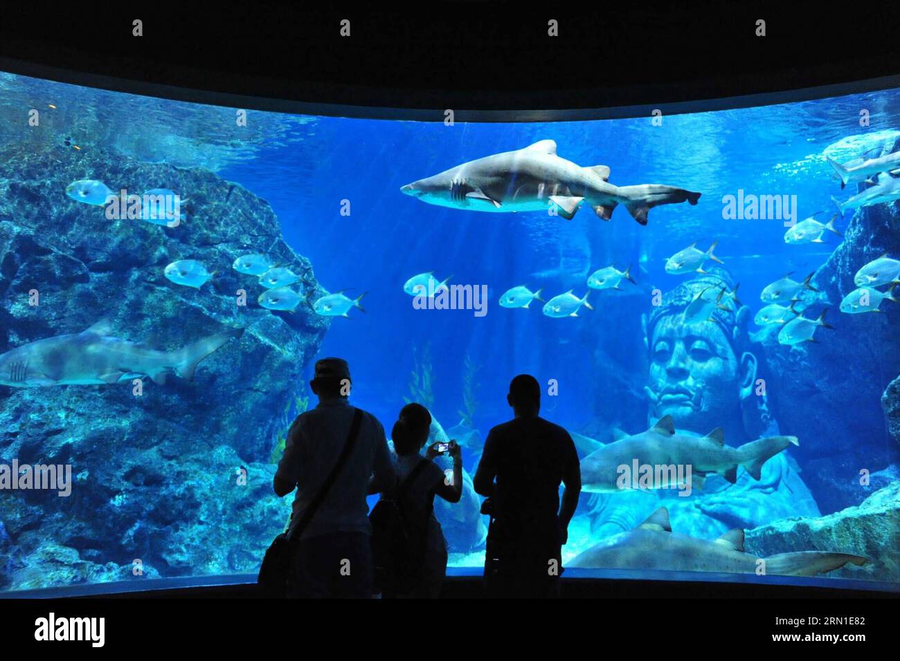 Siam Ocean World Bangkok