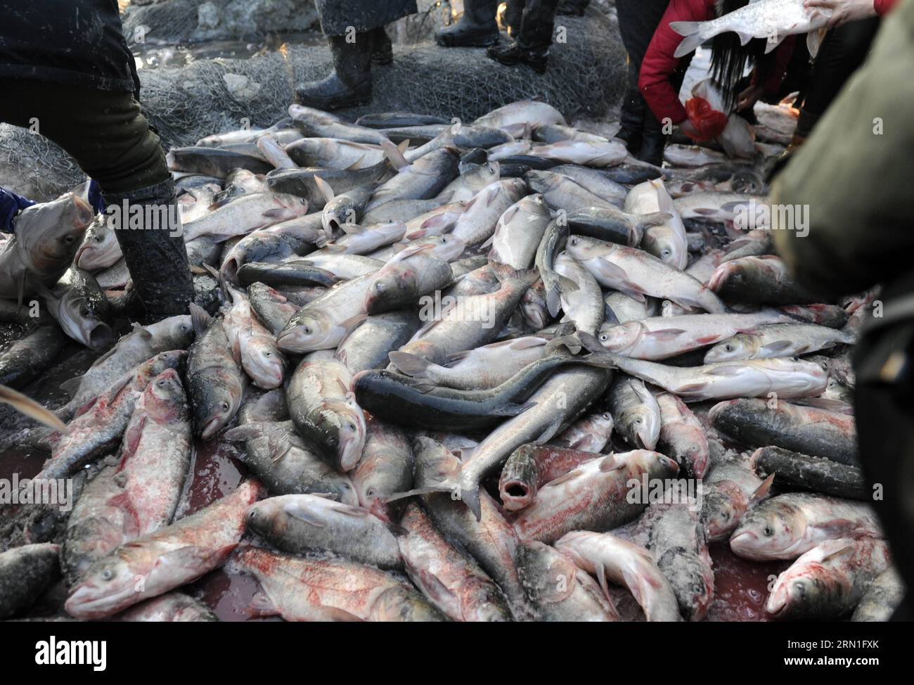 Slectfresh hi-res stock photography and images - Alamy