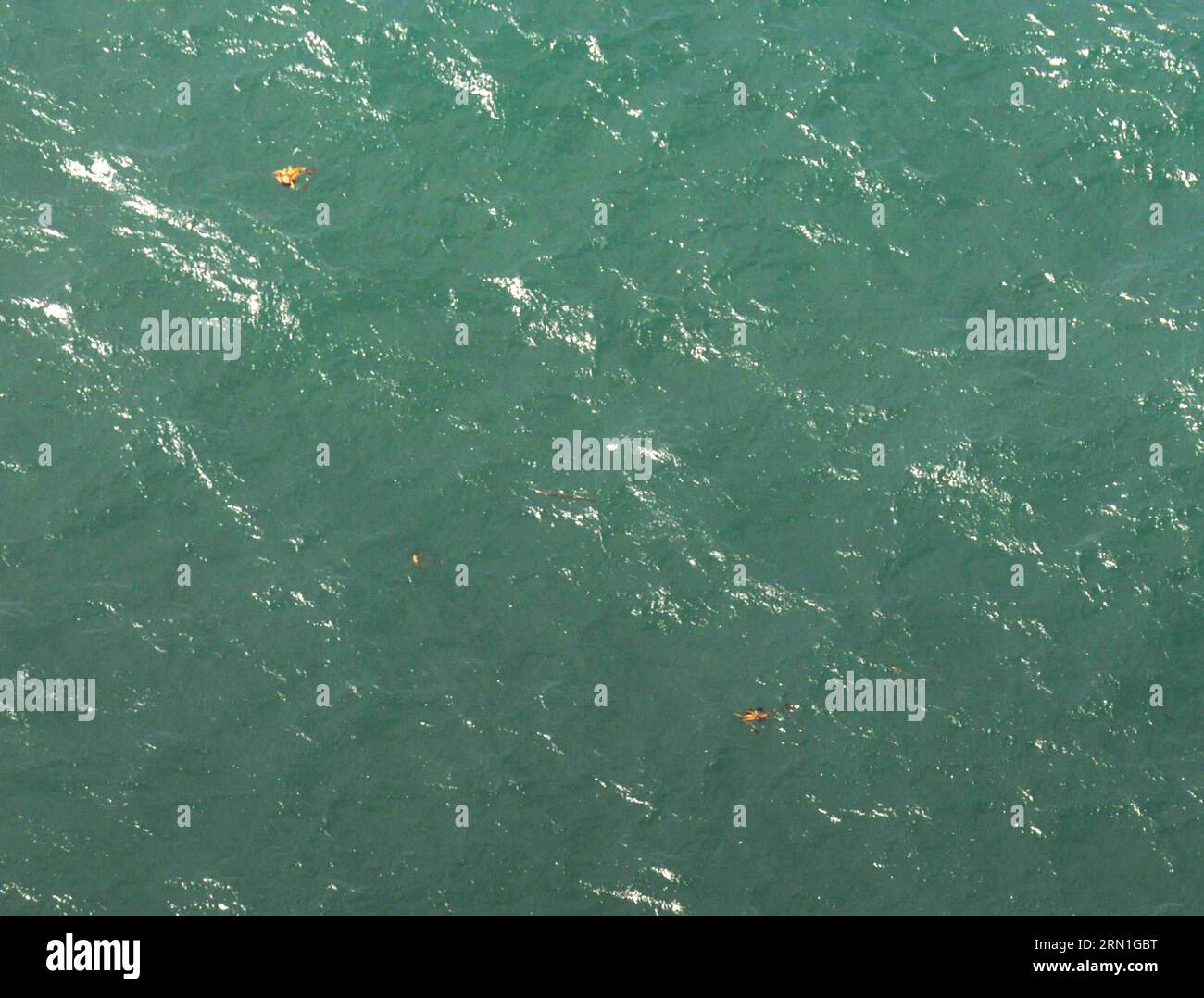 Saw wrack hi-res stock photography and images - Alamy