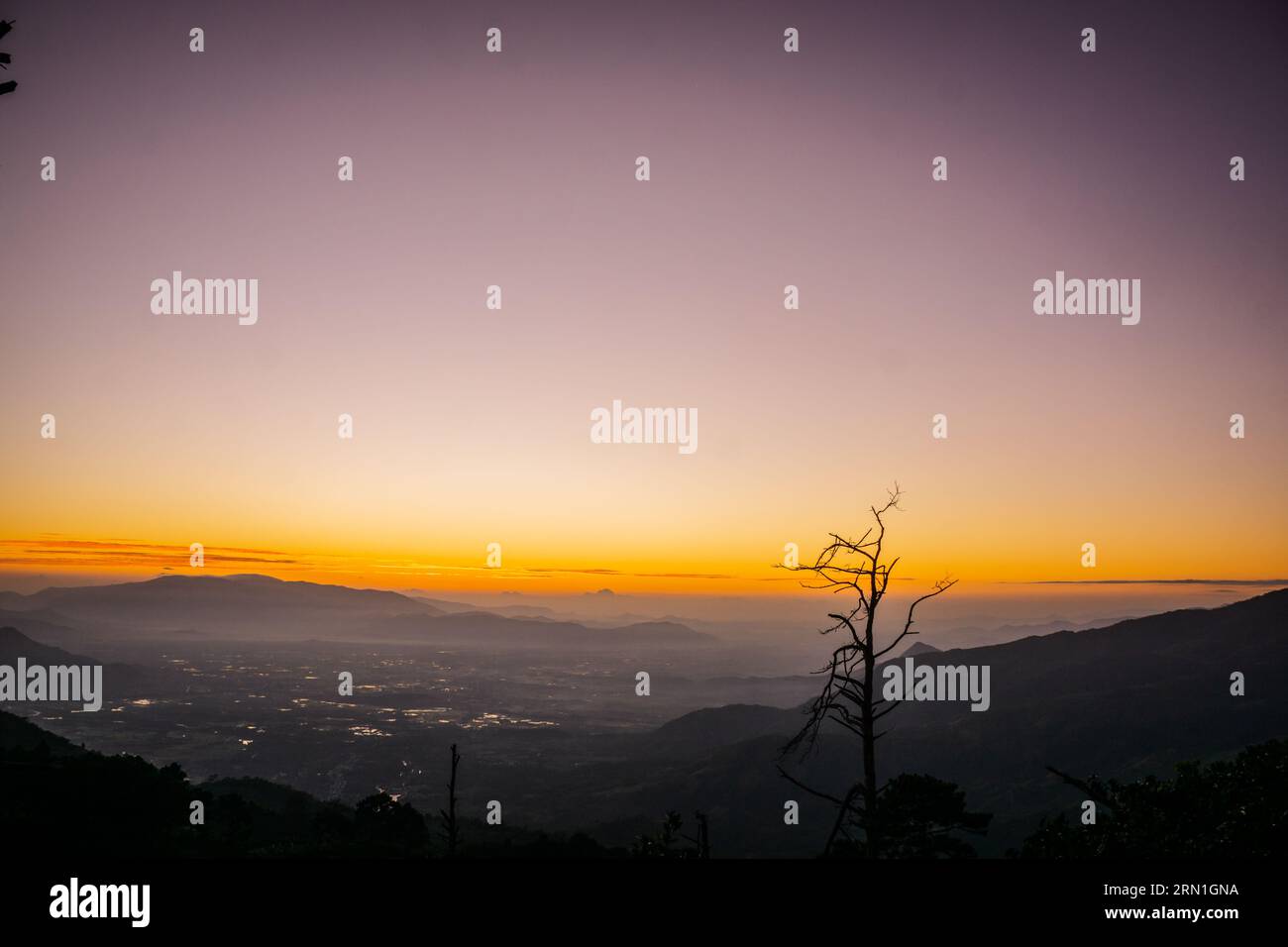 A sunny morning shines through the tops through a thin layer of mist ...