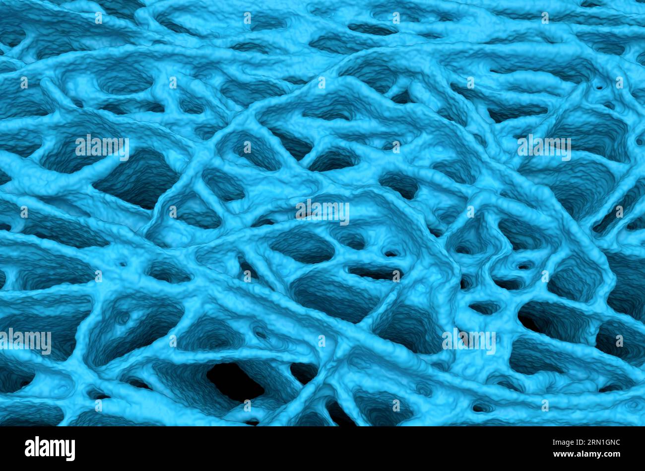 Epithelial tissue hi-res stock photography and images - Alamy