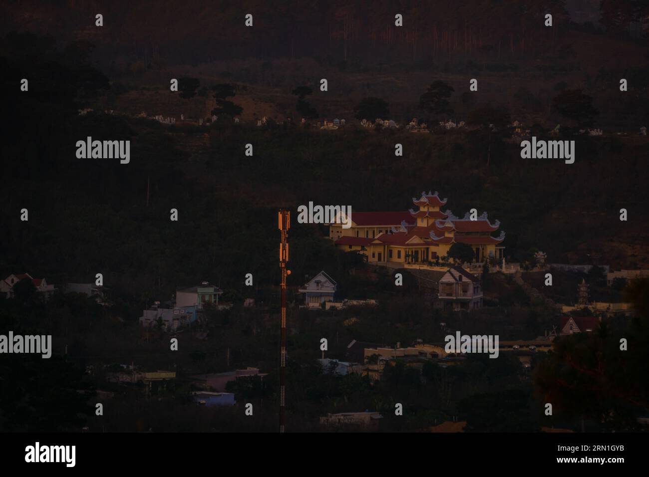 A sunny morning shines through the tops through a thin layer of mist ...