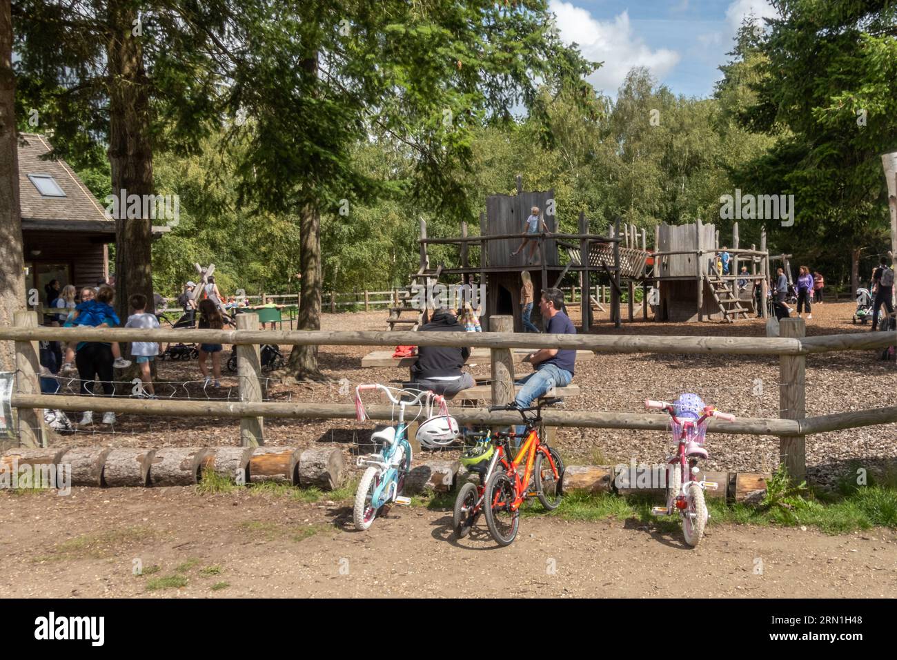 Alice Holt Forest on a busy summer day with kids playing on the wooden ...