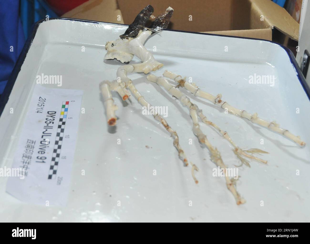 ABOARD XIANGYANGHONG 09, Jan. 4, 2015 -- Photo taken on Jan. 4, 2015 ...