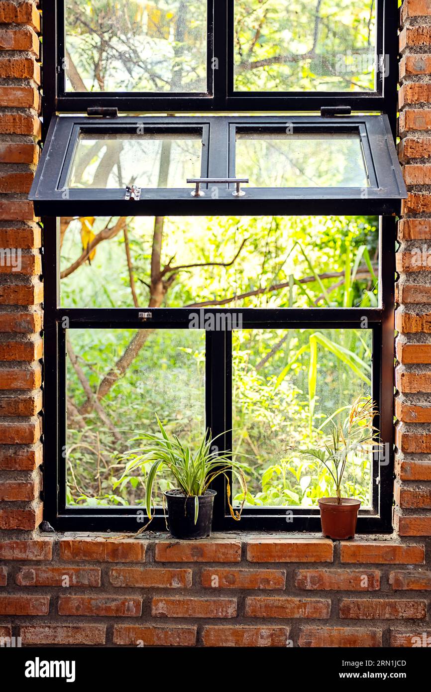 Big window with greenery. Fragment of rustic house Stock Photo - Alamy