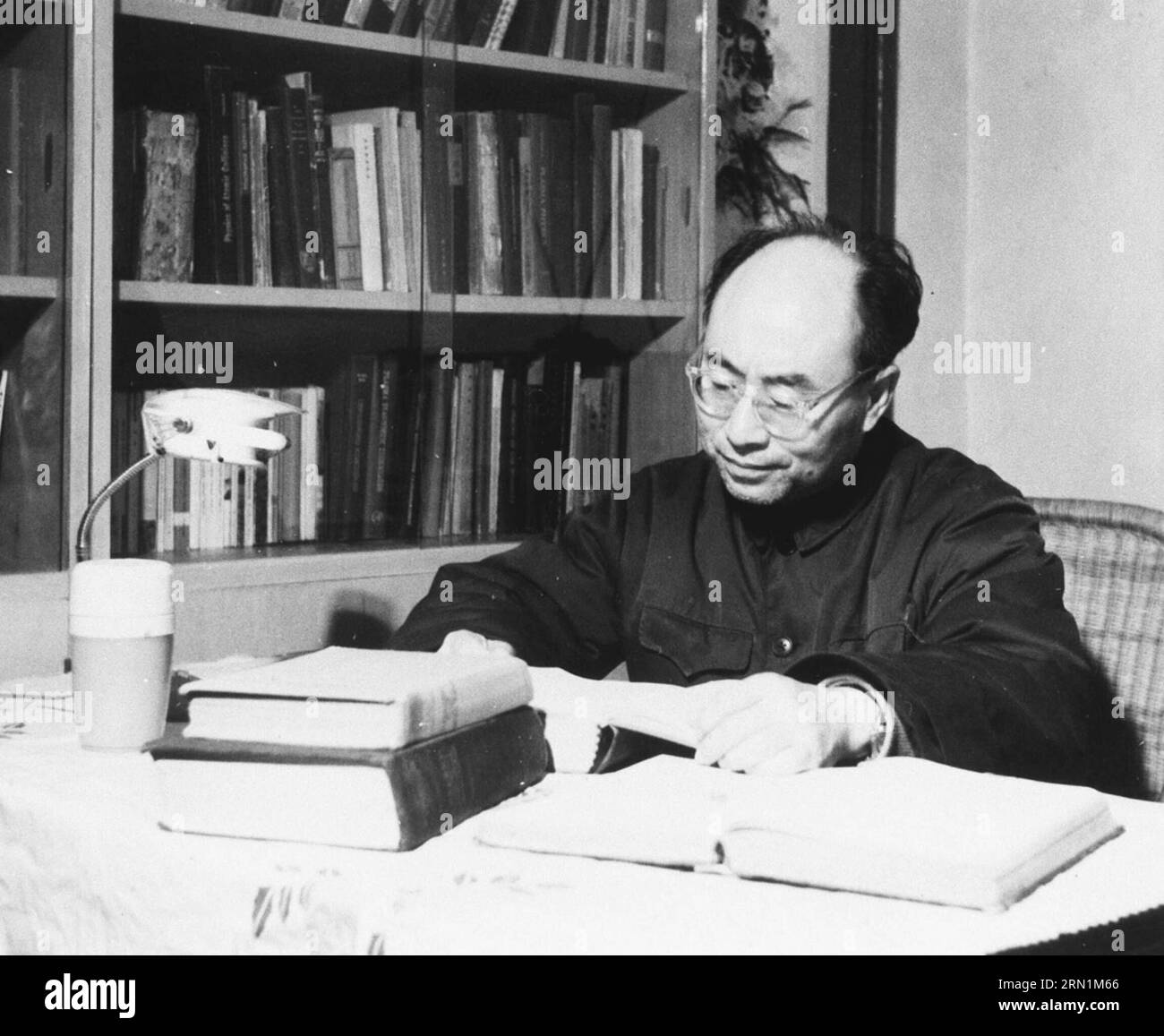 1980quadrat hi-res stock photography and images - Alamy