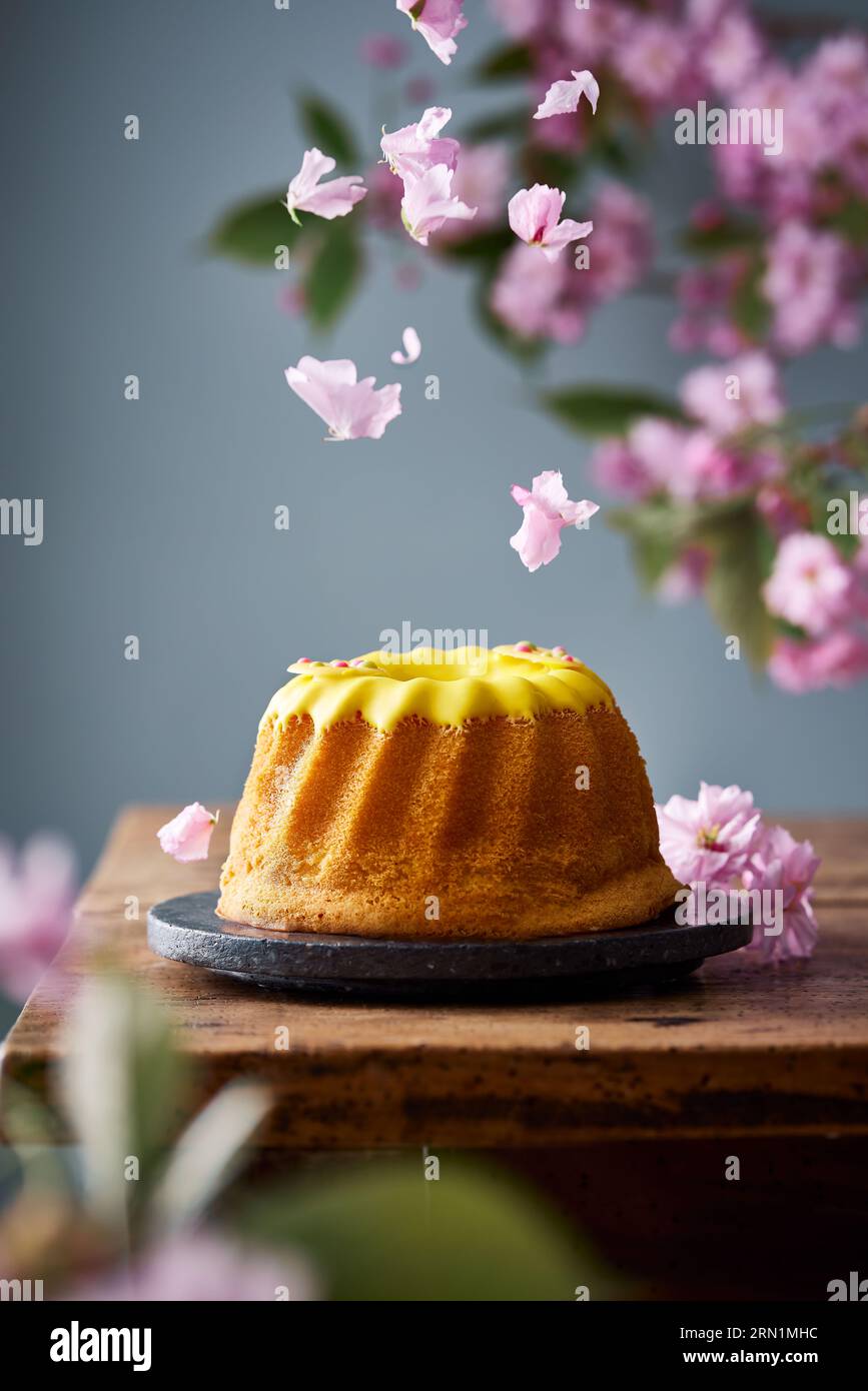Yellow glazed bundt cake. Falling cherry blossom flower petals. Spring ...