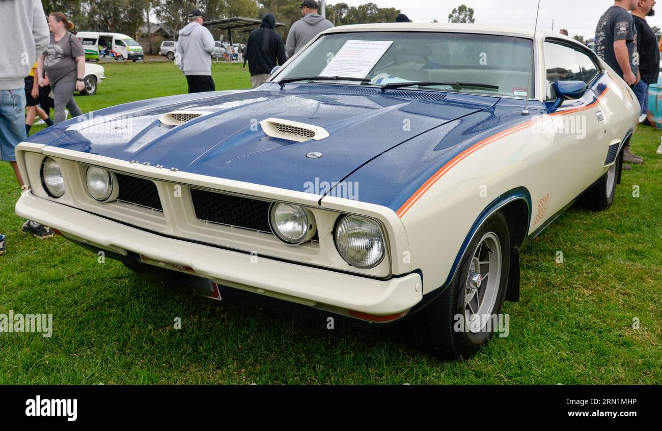 Ford Falcon Cobra Show Or Display: 1978 Australian Ford Falcon XC