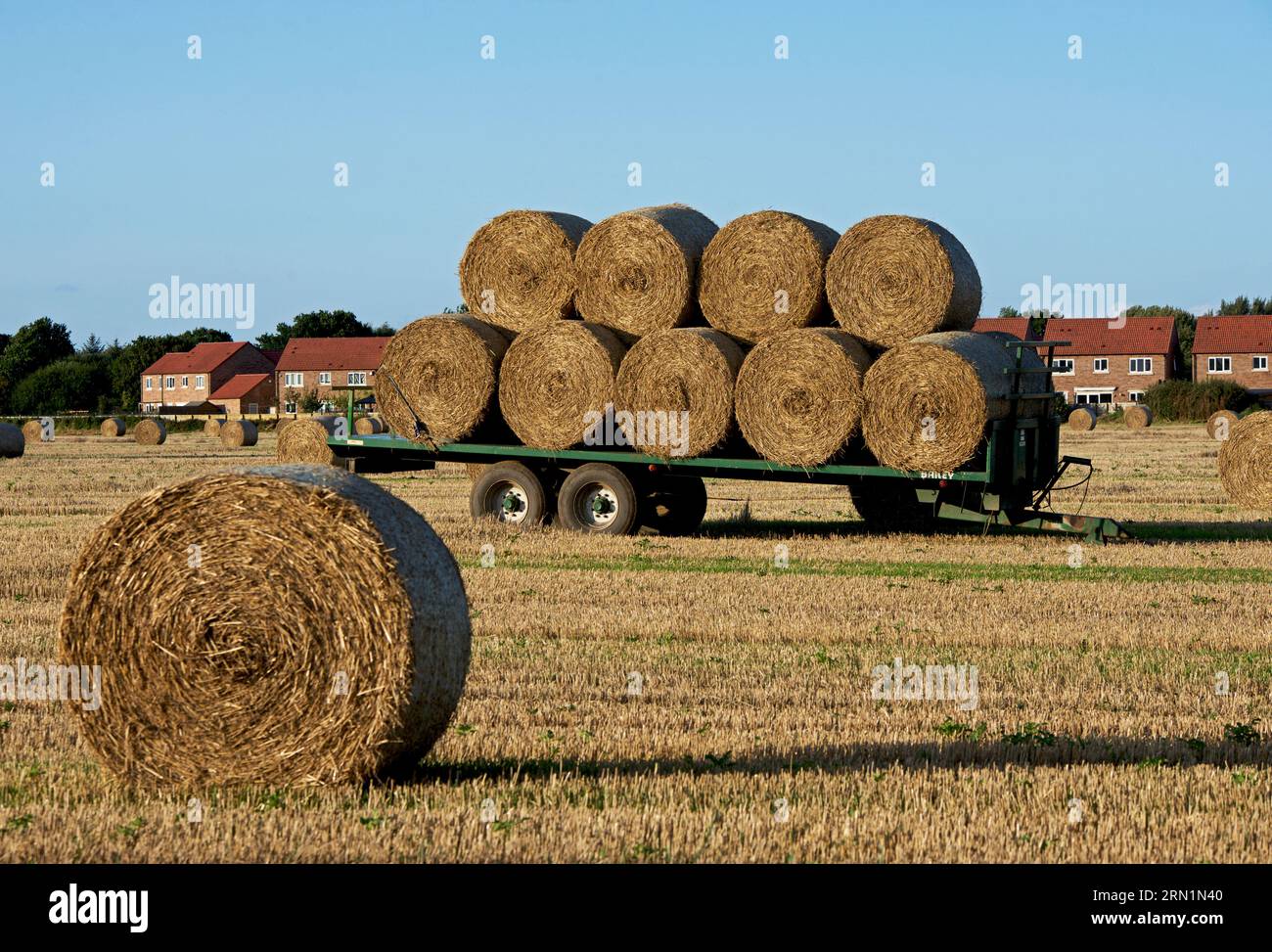 Trailer piled with hales of hay in East Yorkshire, England UK Stock ...