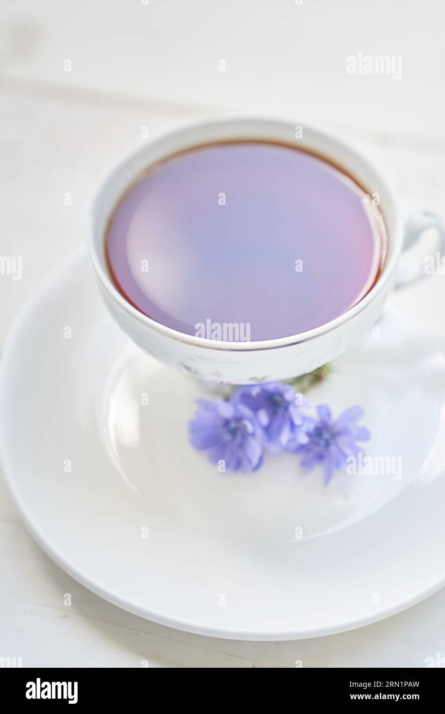 A drink made from chicory roots in a cup, a flowering chicory plant on ...