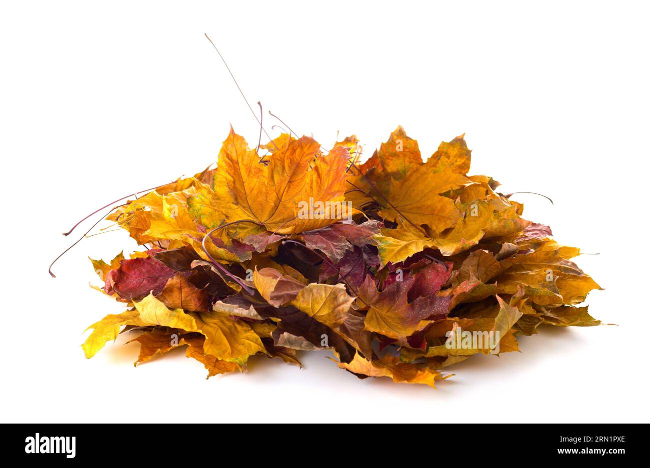Heap dry autumn leaves Cut Out Stock Images & Pictures - Alamy