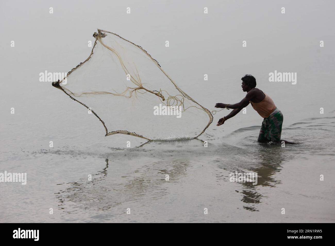 A villager throws the fishing net at the Sunderbans area of the Ganges ...