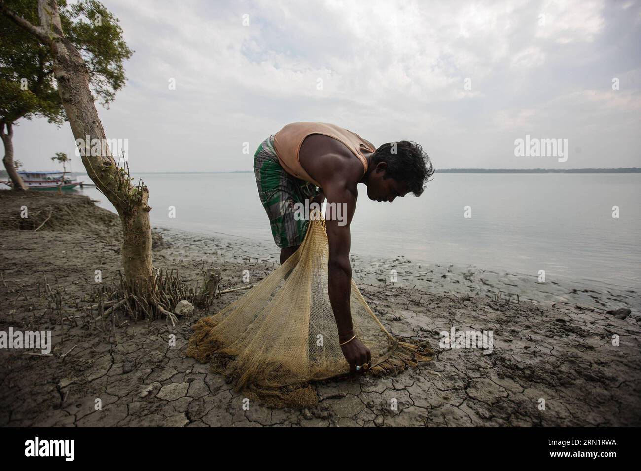 A villager checks the harvest in the fishing net at the Sunderbans area ...