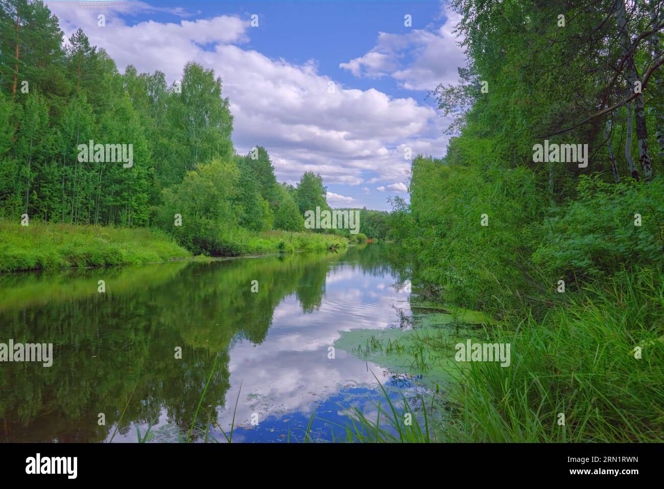 Landscape with riverbank. Wonderful nature, beautiful natural ...