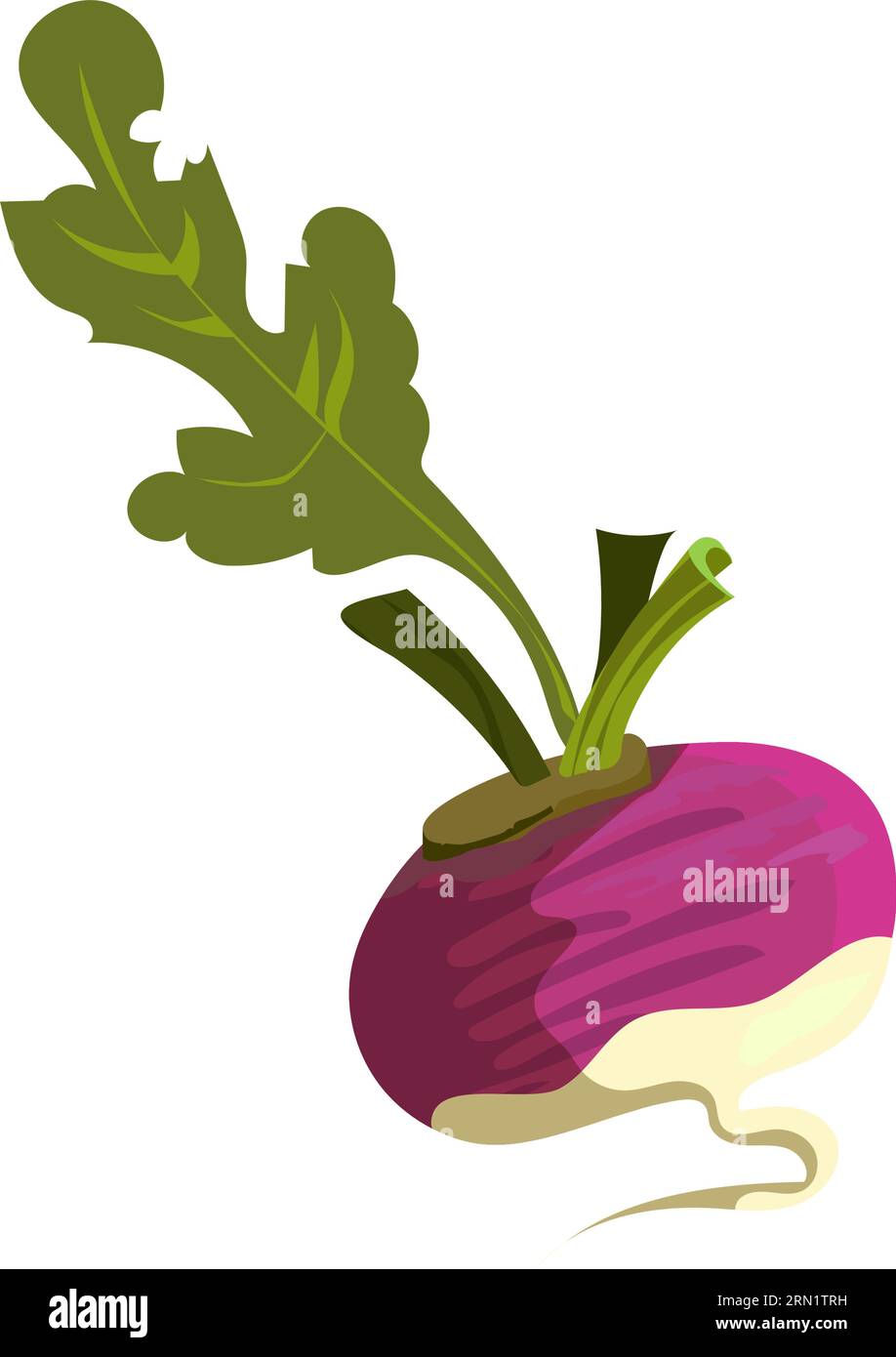 Reddish drawing Stock Vector Images - Alamy