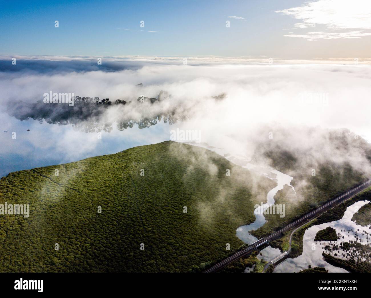 An aerial view of a mangrove forest in Te Puna, Tauranga Harbour, New ...