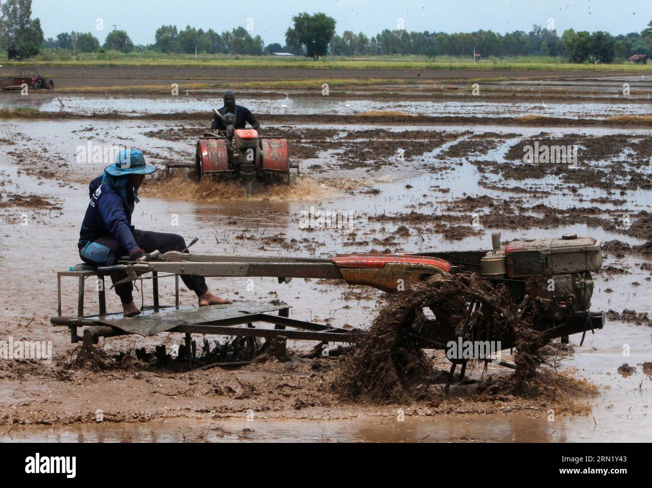Nakhon Sawan, Thailand. 31st Aug, 2023. Farmers clear their rice field ...