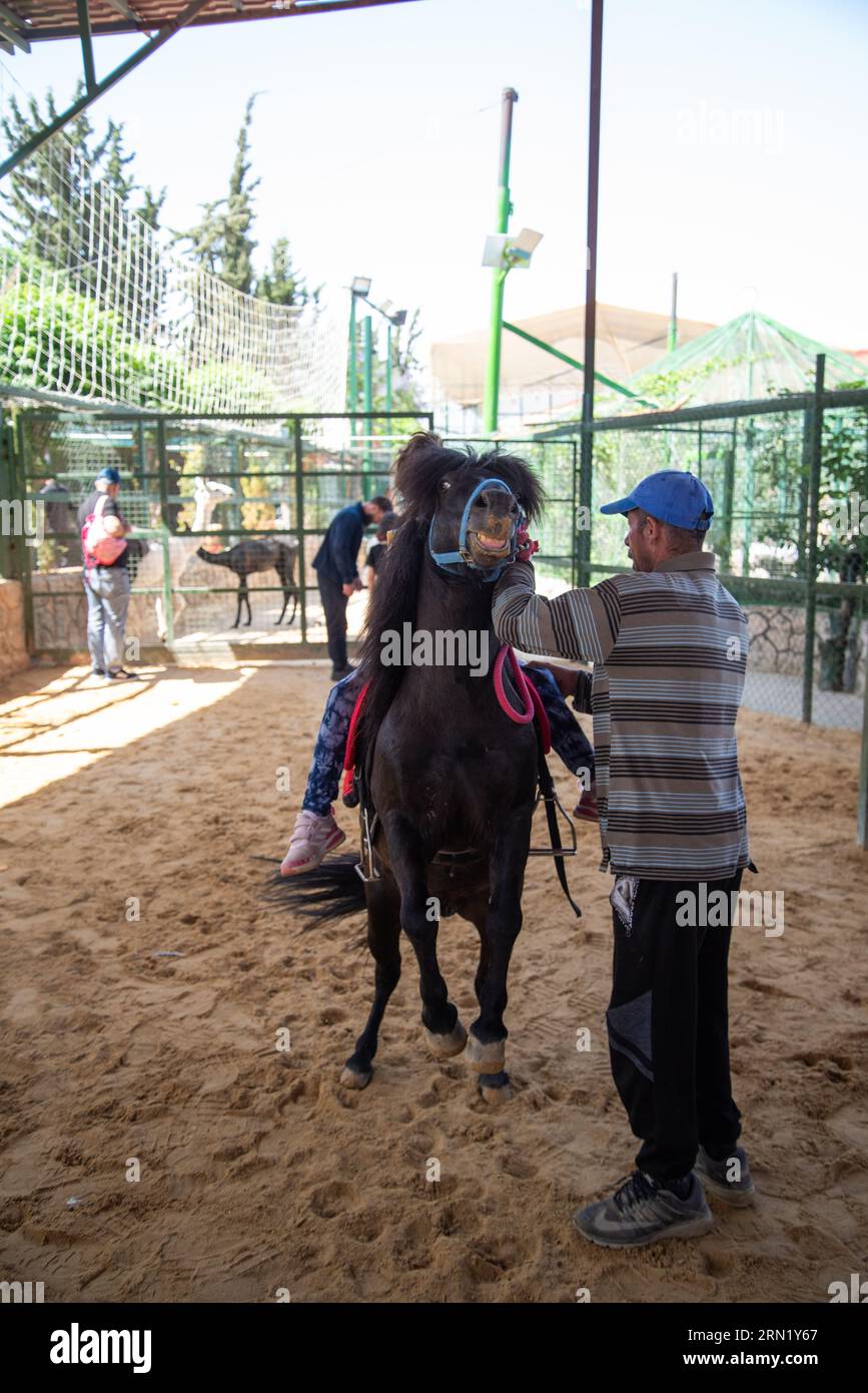 Amman, Jordan - 19 May 2023: Pony riding at zoo Stock Photo - Alamy