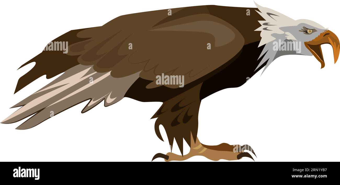 Small sparrow illustration Stock Vector Image & Art - Alamy