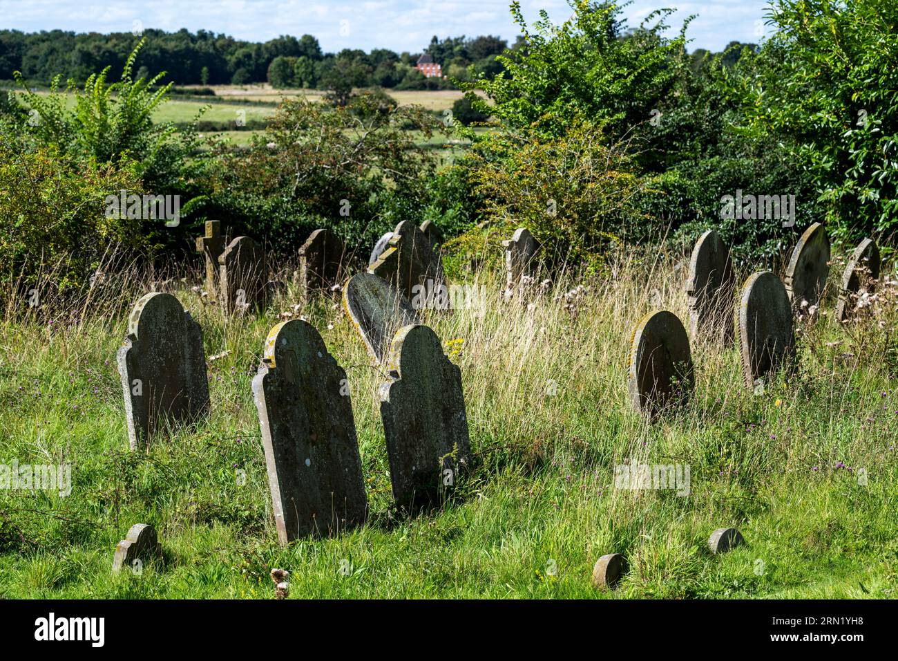 Uncut churchyard hi-res stock photography and images - Alamy
