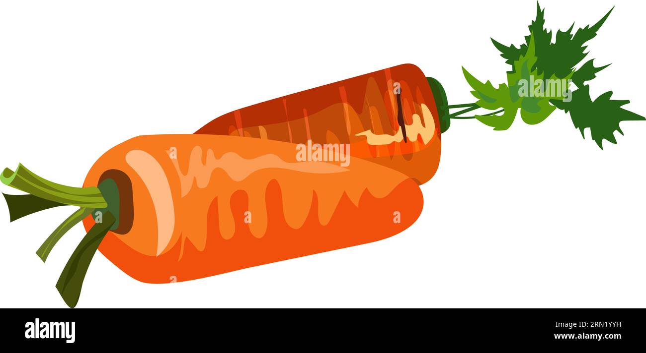 Carrots cut Stock Vector Images - Alamy