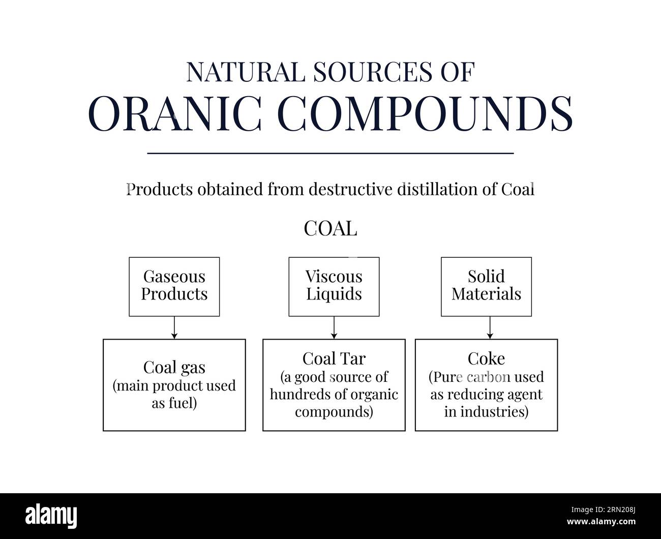 Phytochemicals Stock Vector Images - Alamy