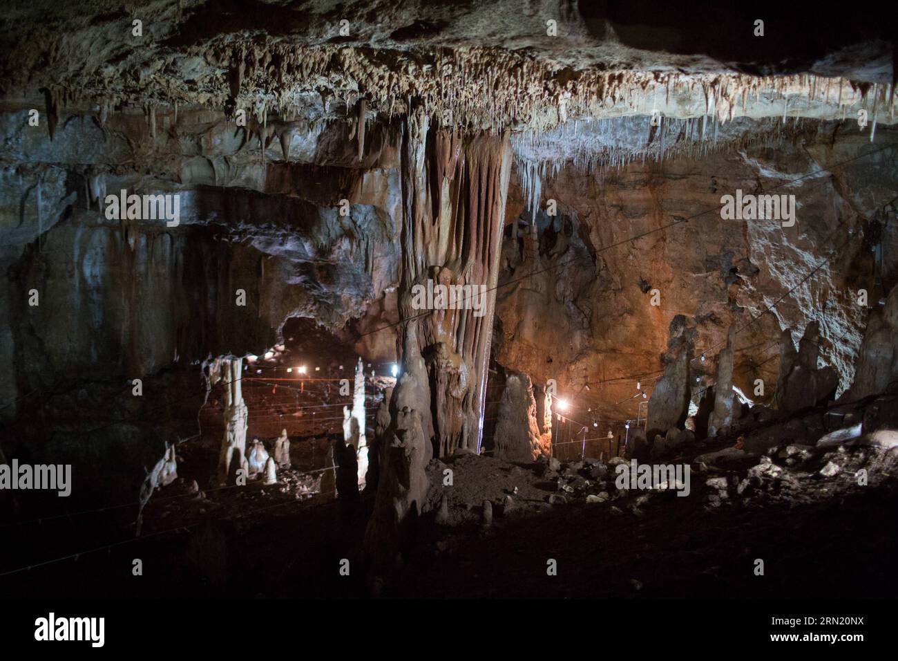 Anatomically modern human hi-res stock photography and images - Alamy