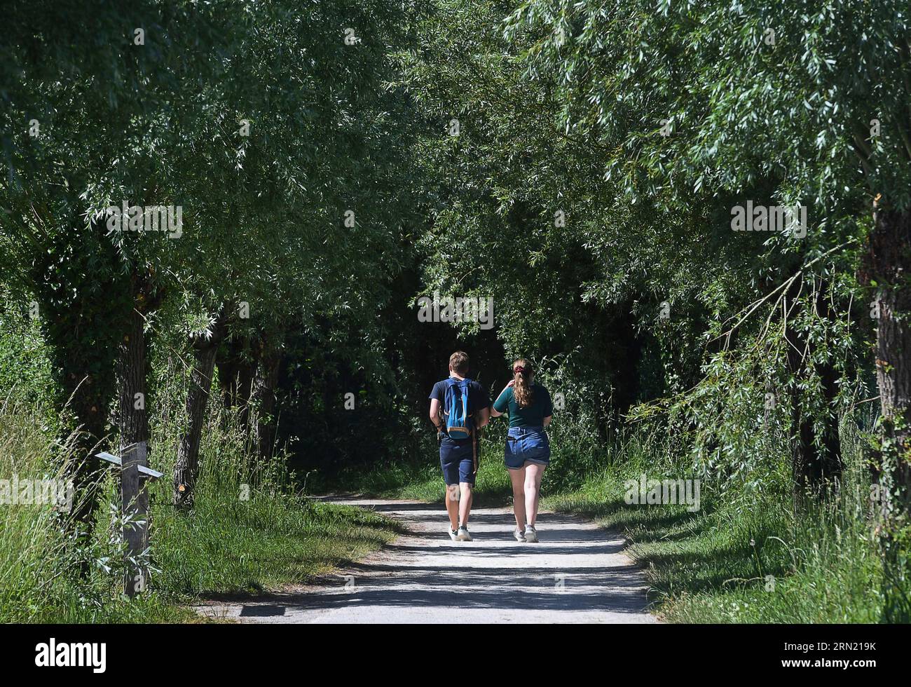 Clairmarais (northern France): two people having a walk in the Etangs ...