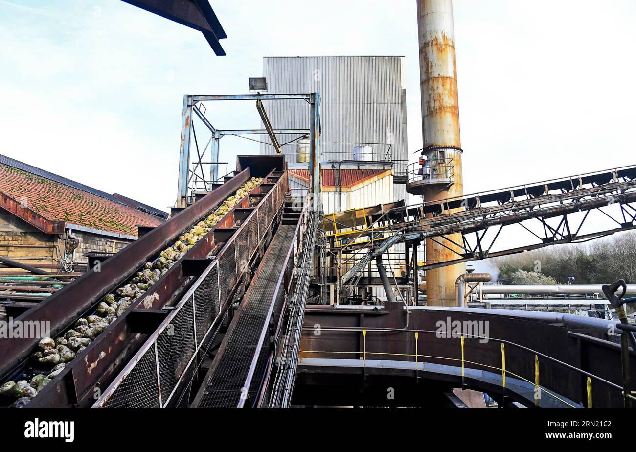 Sugar factory of the Tereos cooperative in Attin (northern France ...
