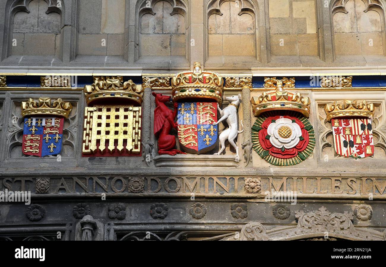 King of winters dog hi-res stock photography and images - Alamy