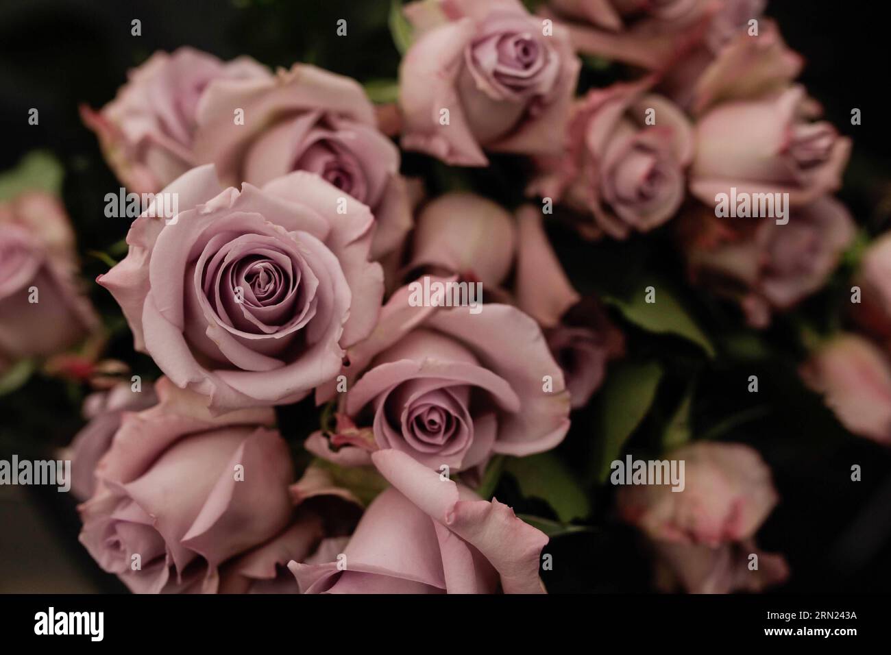 World largest bouquet hi-res stock photography and images - Alamy
