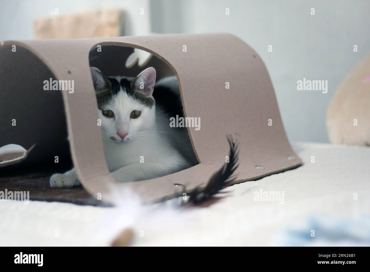 Sole pose hi-res stock photography and images - Alamy