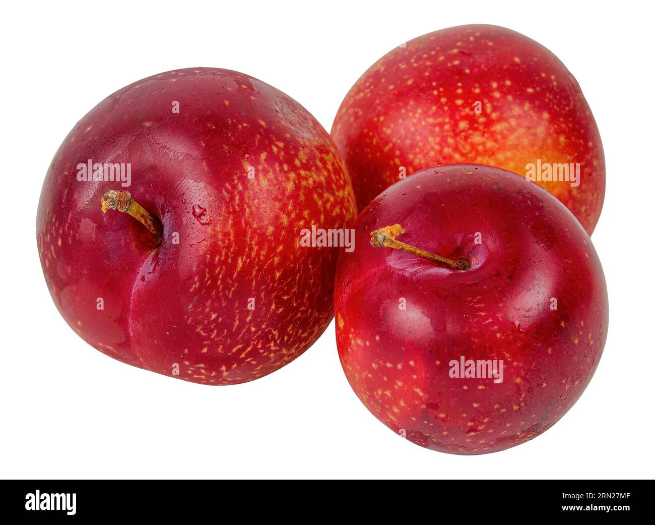Fresh plums fruits isolated in white background Stock Photo - Alamy