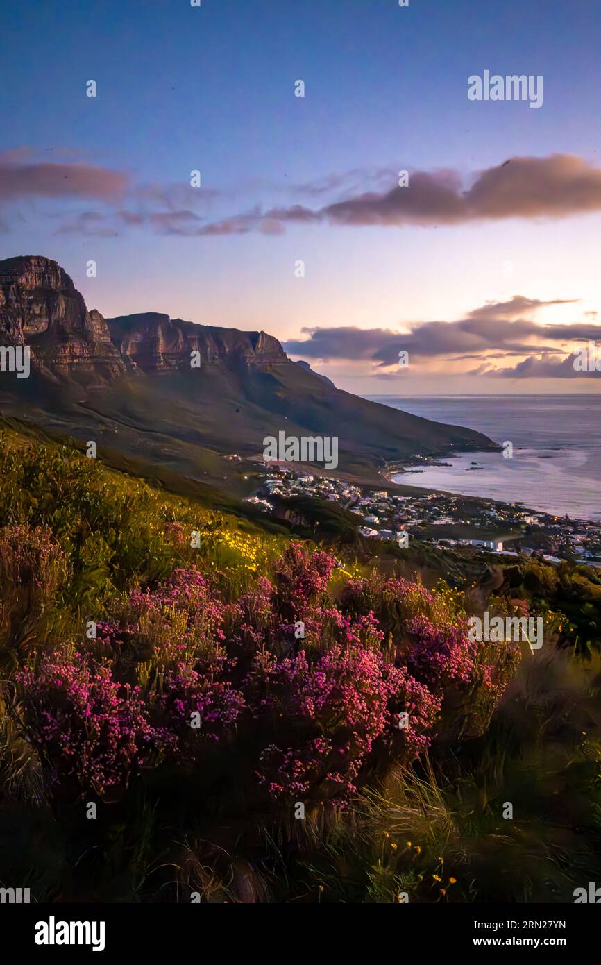 View of Camps bay from Kloof Corner hike at sunset in Cape Town ...
