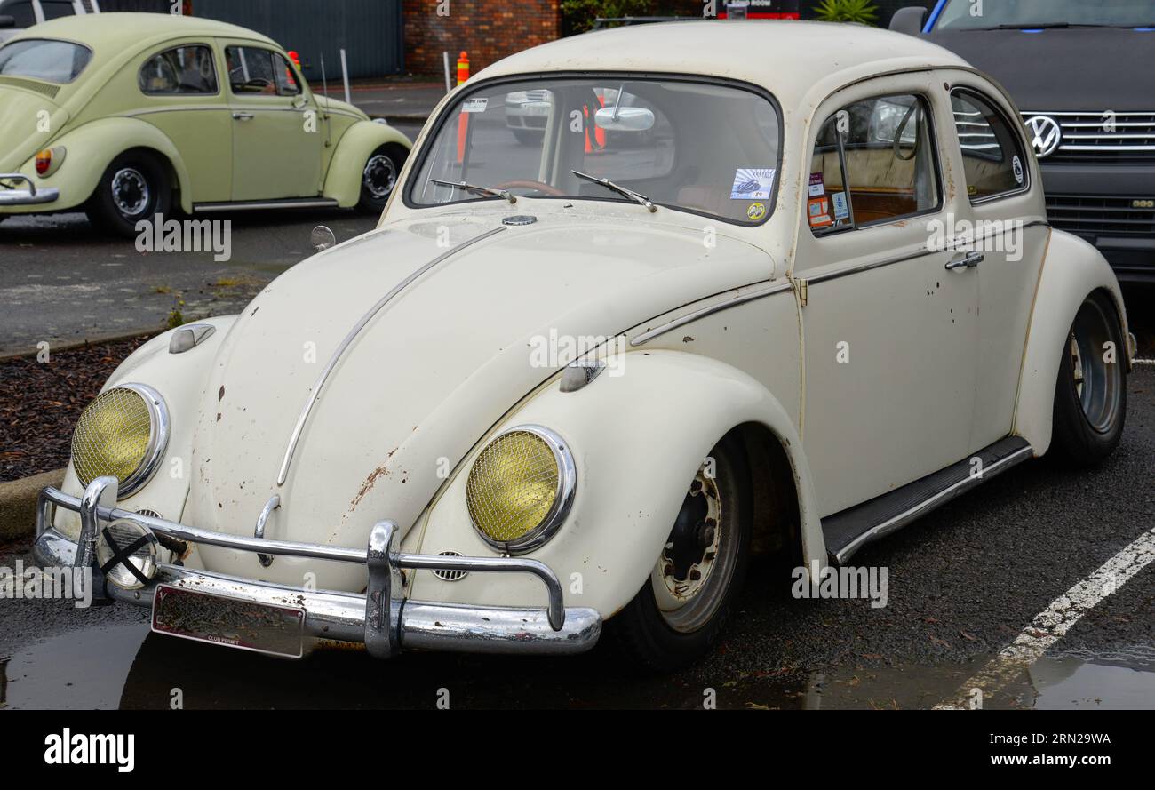 Modified beetle hi-res stock photography and images - Alamy