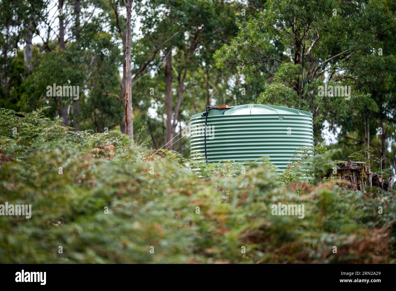 Plastic water tank in the forest of an off grid house in Australia in ...
