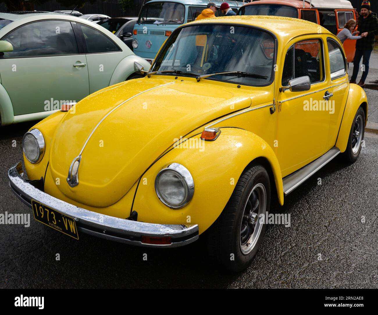 Volkswagen VW Beetle Yellow Vintage Retro Show Shine Day Out, Melbourne Victoria Stock Photo - Alamy
