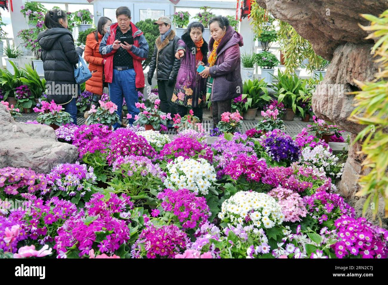 Floweexhibition hi-res stock photography and images - Alamy