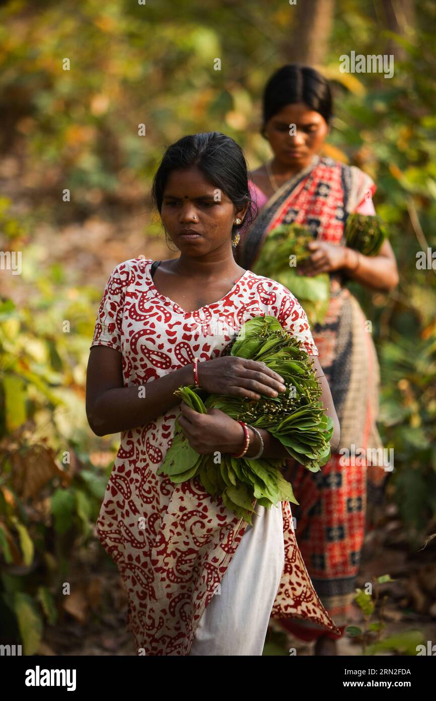 Sal name hi-res stock photography and images - Alamy