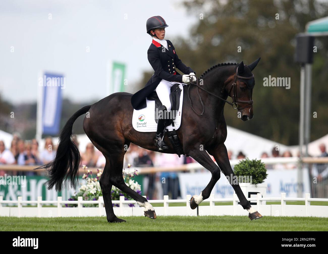 Ros Canter on Pencos Crown Jewel compete in the Dressage on day one of ...