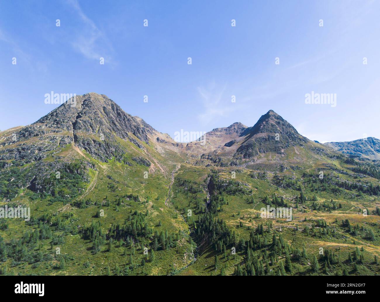 High altitude mountain peaks in green scarce pine forest landscape in ...