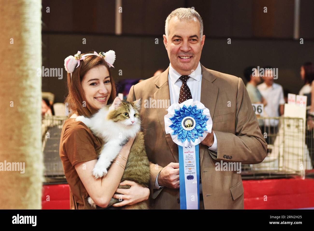 Cat fanciers association judge hi-res stock photography and images - Alamy