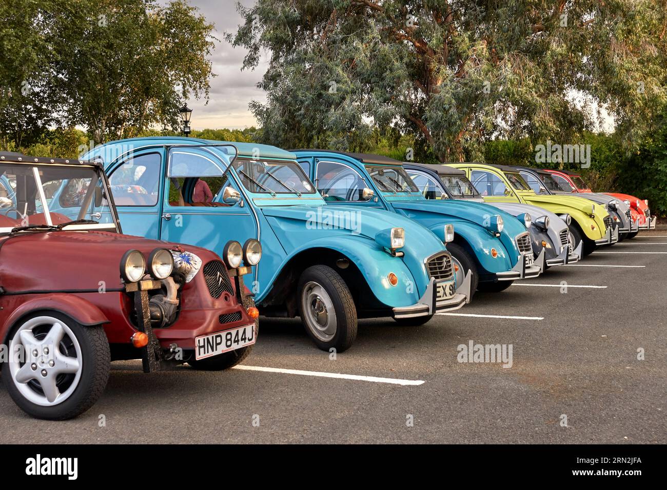 Citreon 2CV cars lined up at a club members meeting. Warwickshire ...