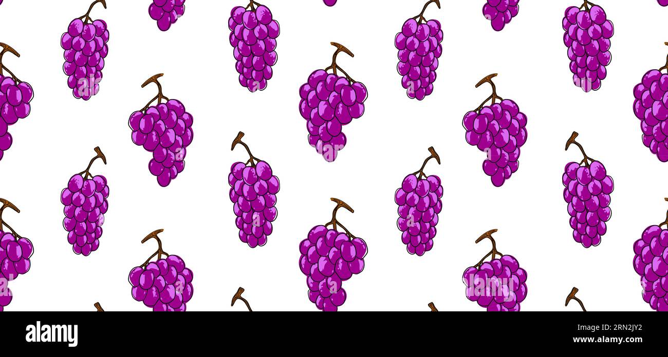 Seamless pattern with purple grapes. Vector illustration on white ...