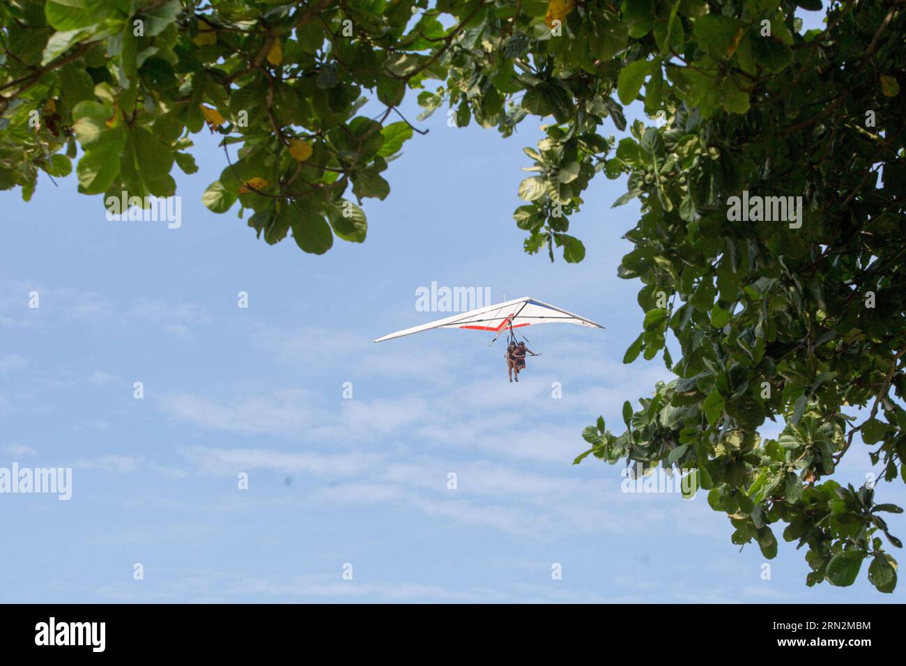 Parglides hi-res stock photography and images - Alamy