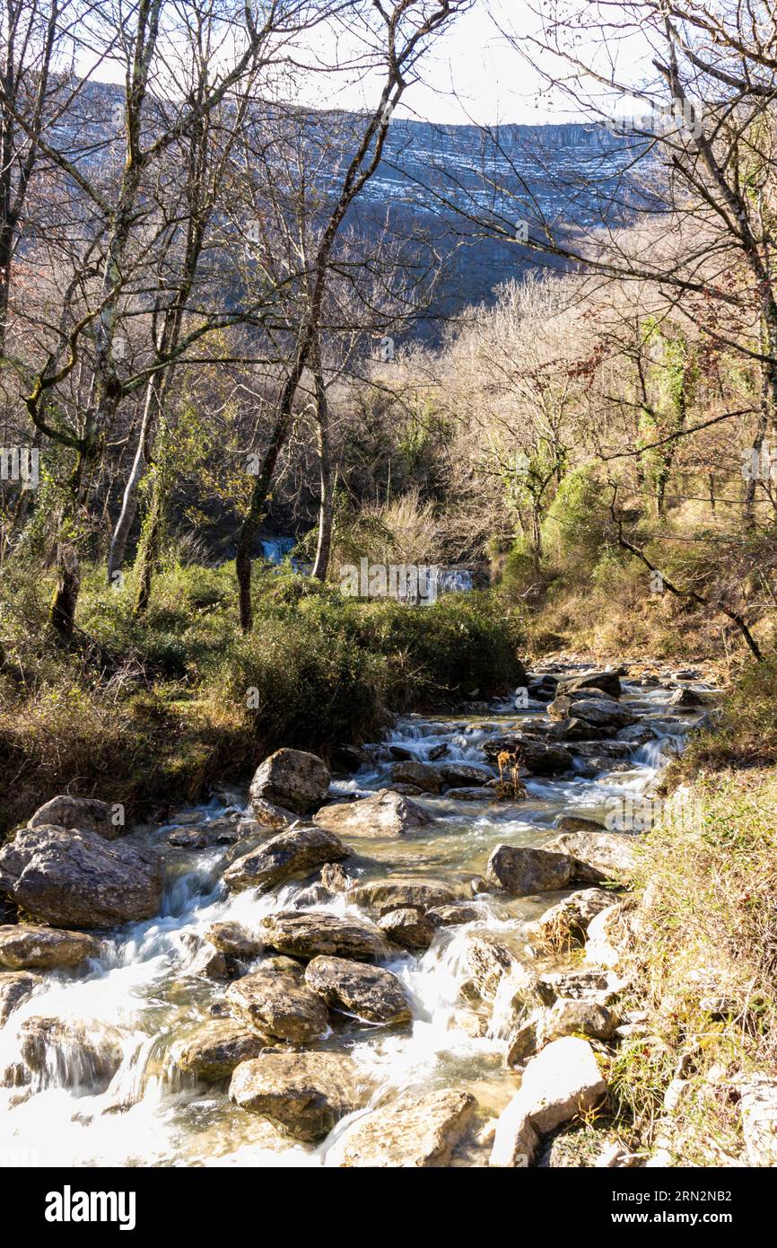 Cantabrian Wilderness: Glimpse into the Pristine Beauty of a Northern ...