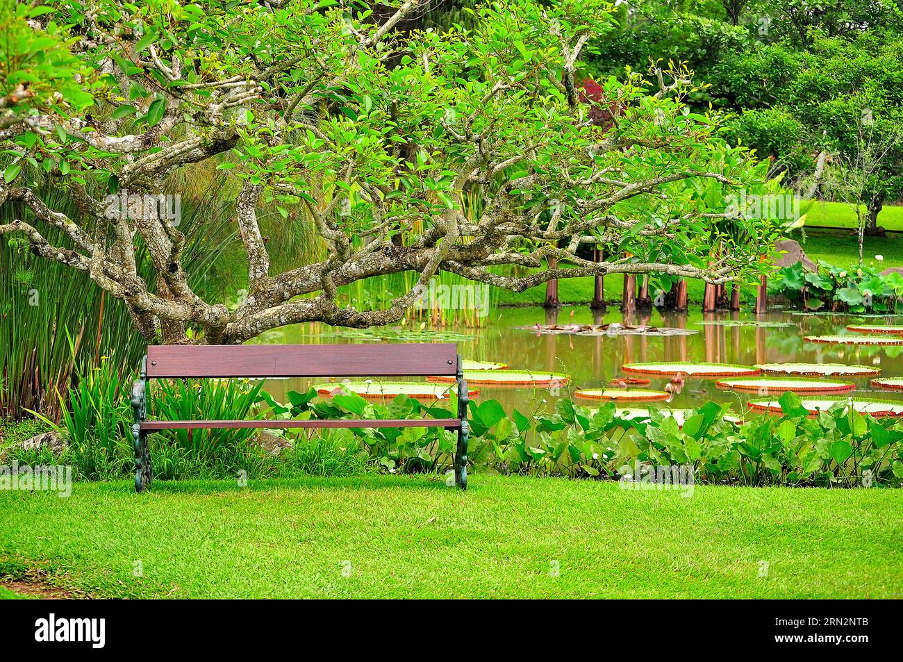 Cipanas garden hi-res stock photography and images - Alamy