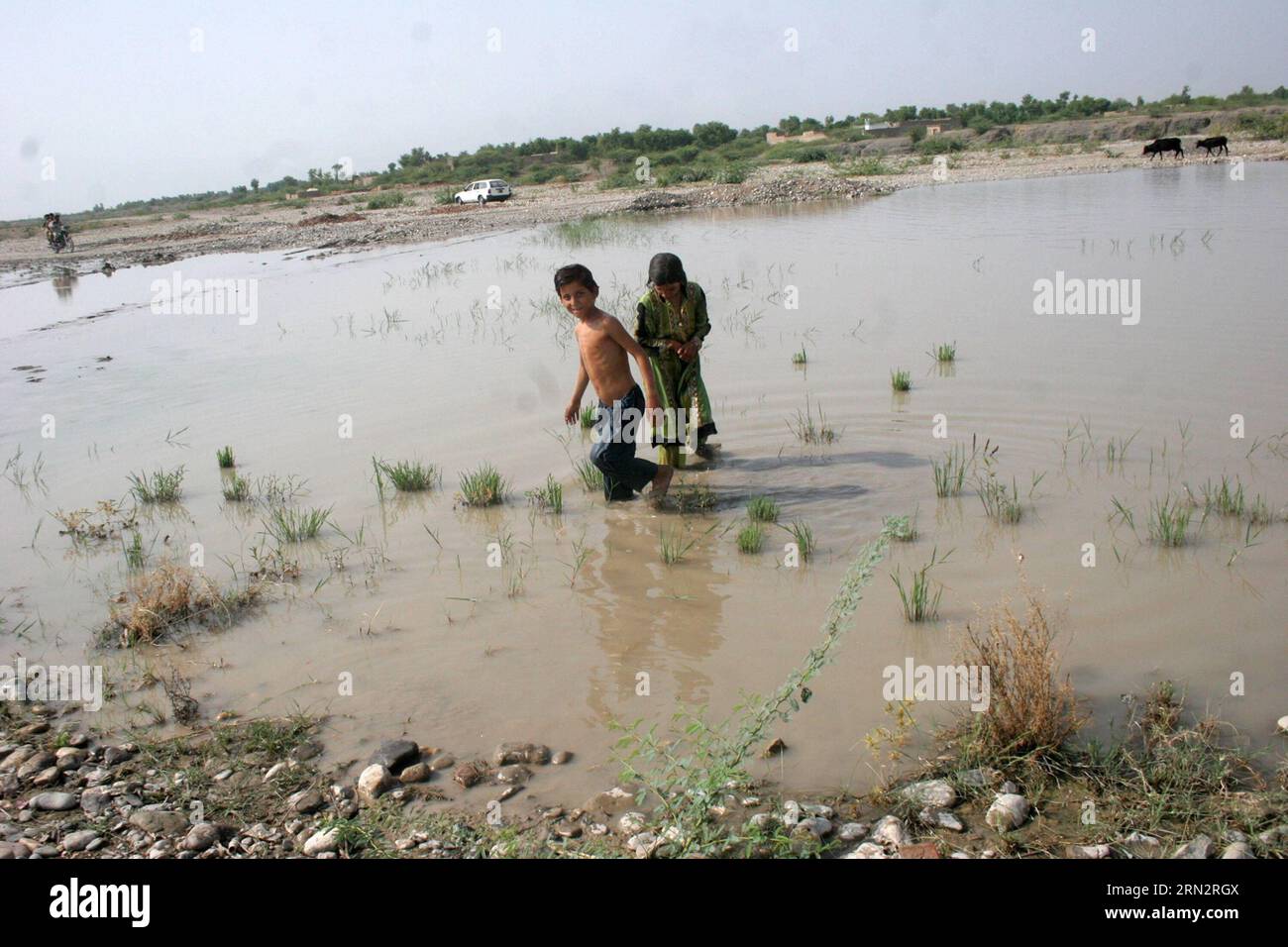 (150322) -- PESHAWAR, March 22, 2015 -- Pakistani children walk in a ...