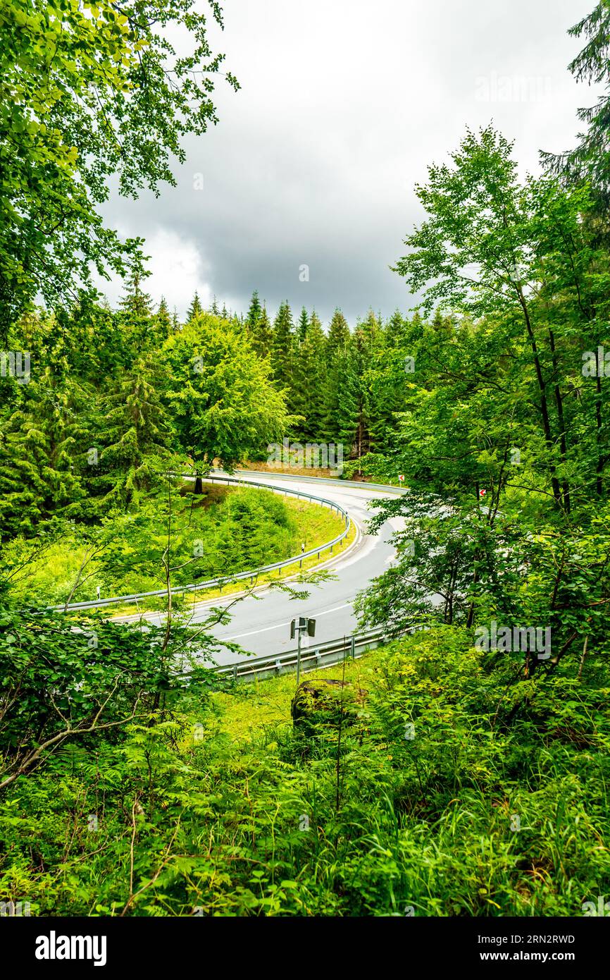 Summer walk on the high trail of the Thuringian Forest - Thuringia ...